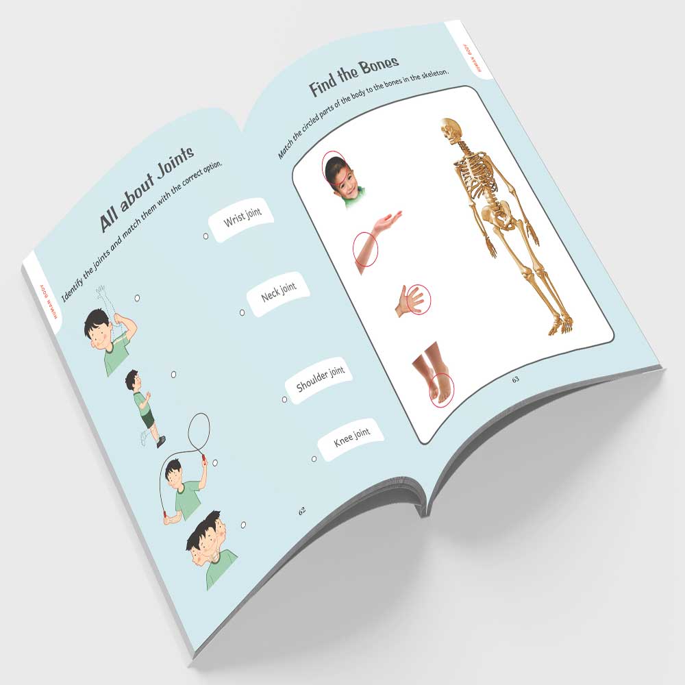 Activity Book of Human Body Health And Fitness – mumma.com