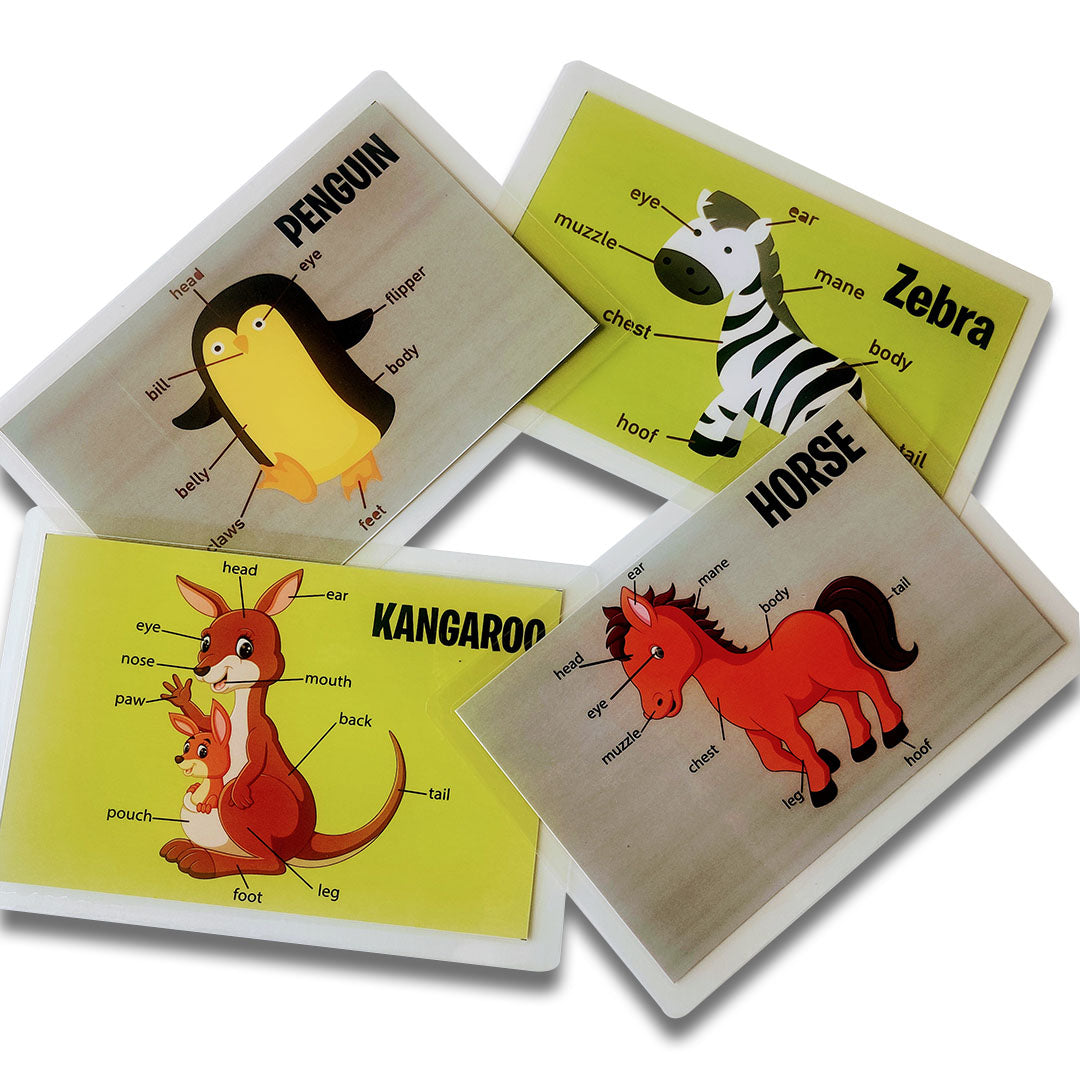 Animal Body Parts Flashcards – mumma.com