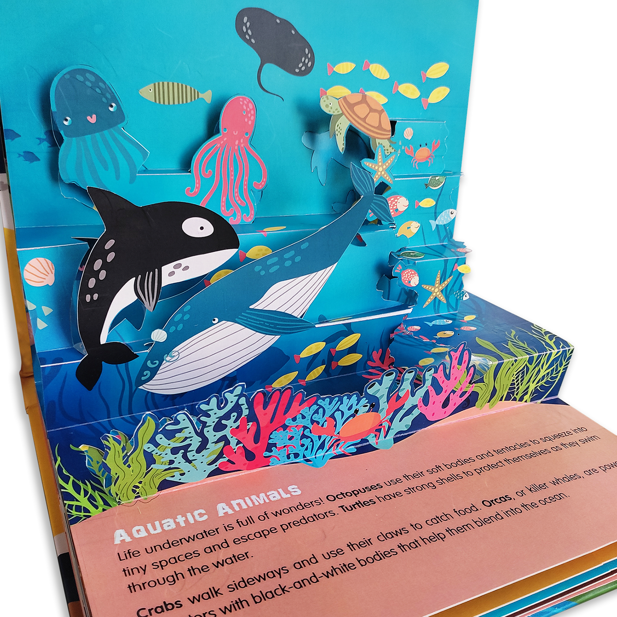 Wild Animals | Pop-up Book – mumma.com