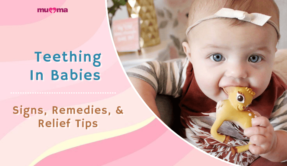Teething in Babies Signs, Remedies, and Relief Tips – mumma.com