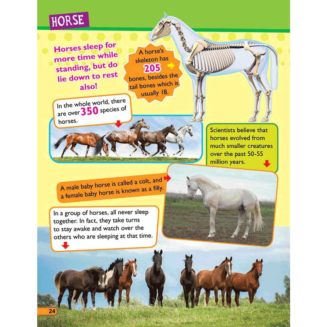 365 Facts on Animals and Birds – mumma.com