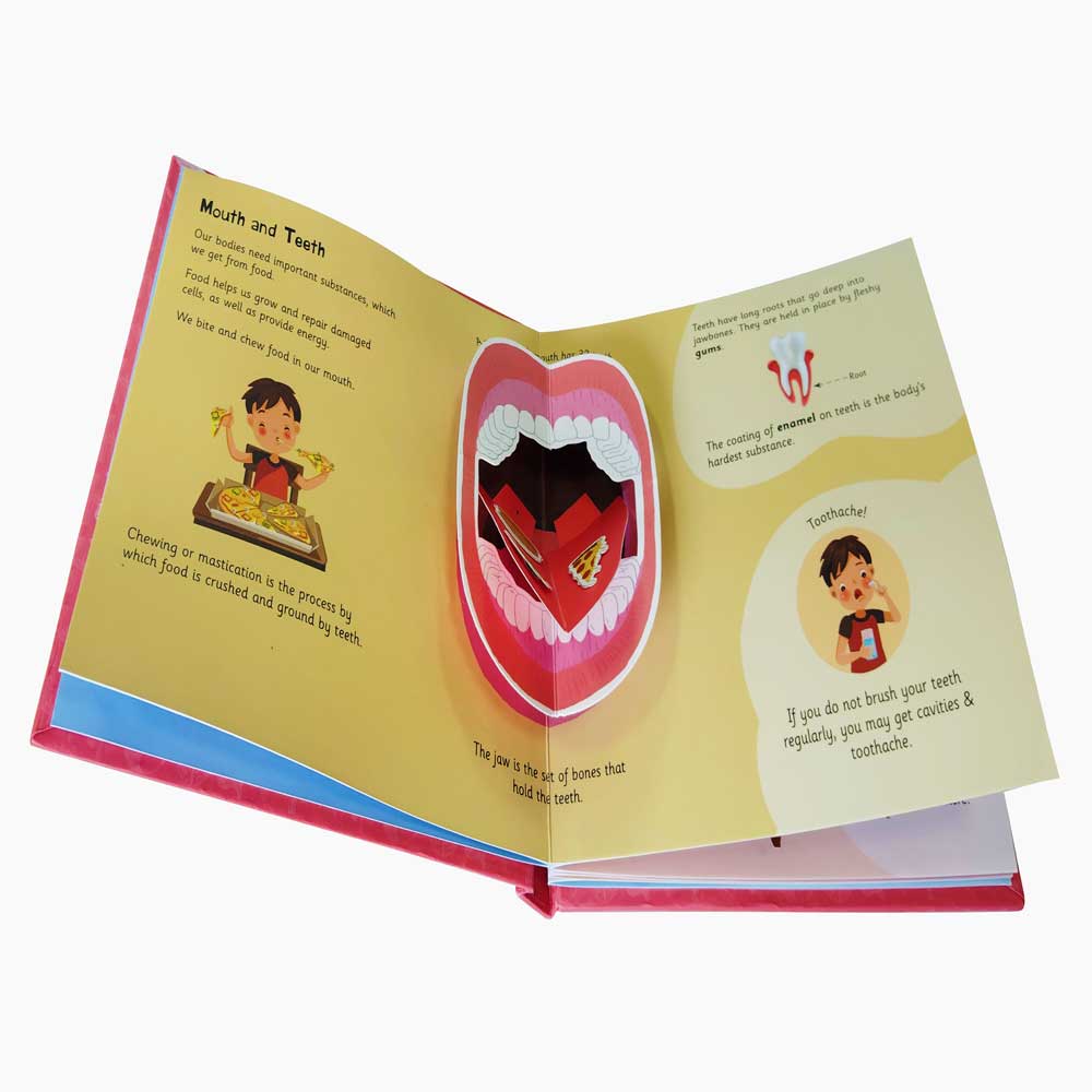 Amazing Human Body (Pop-Up) – mumma.com