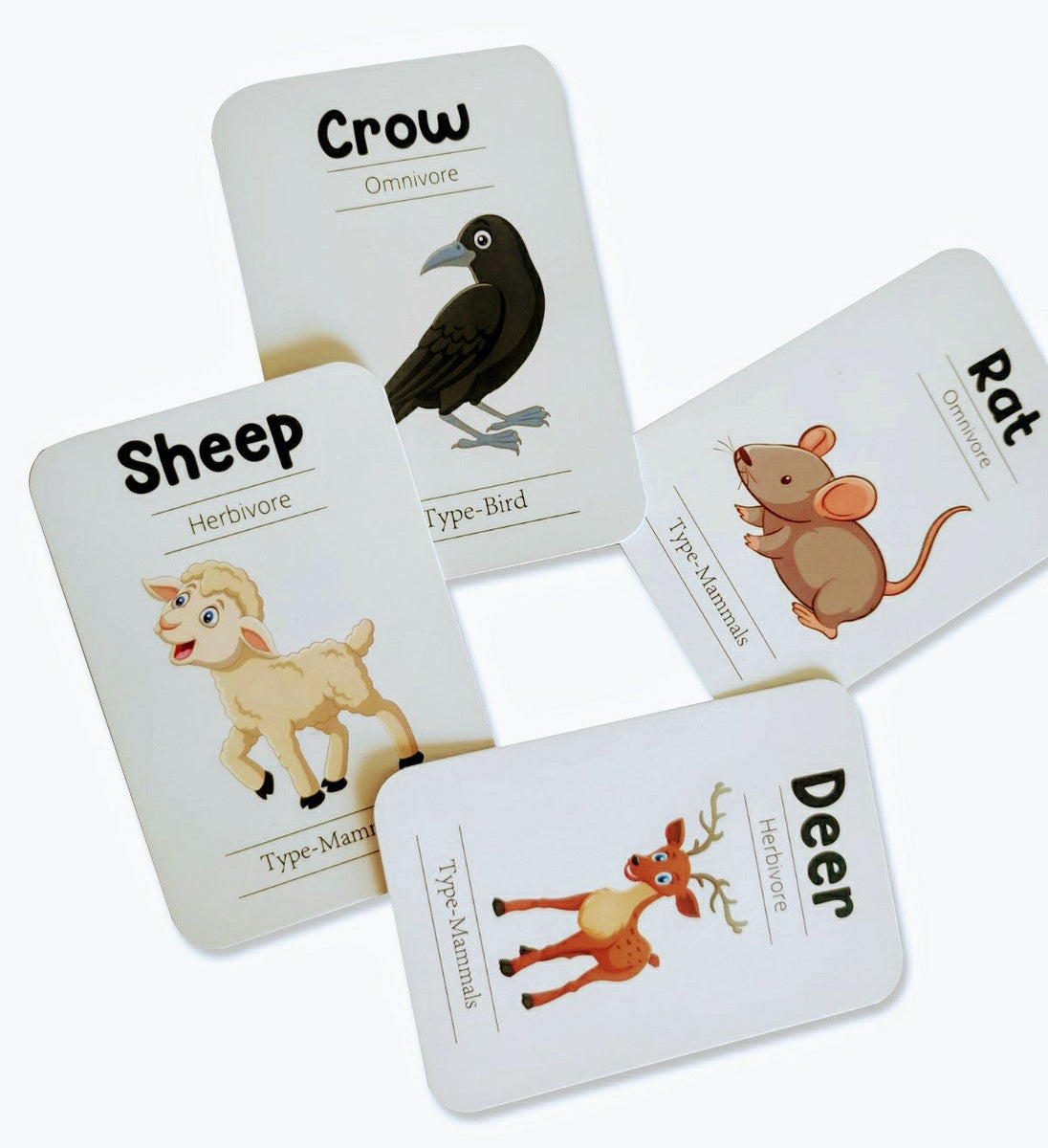 Animals Flash Cards | Pack Of 24 – mumma.com
