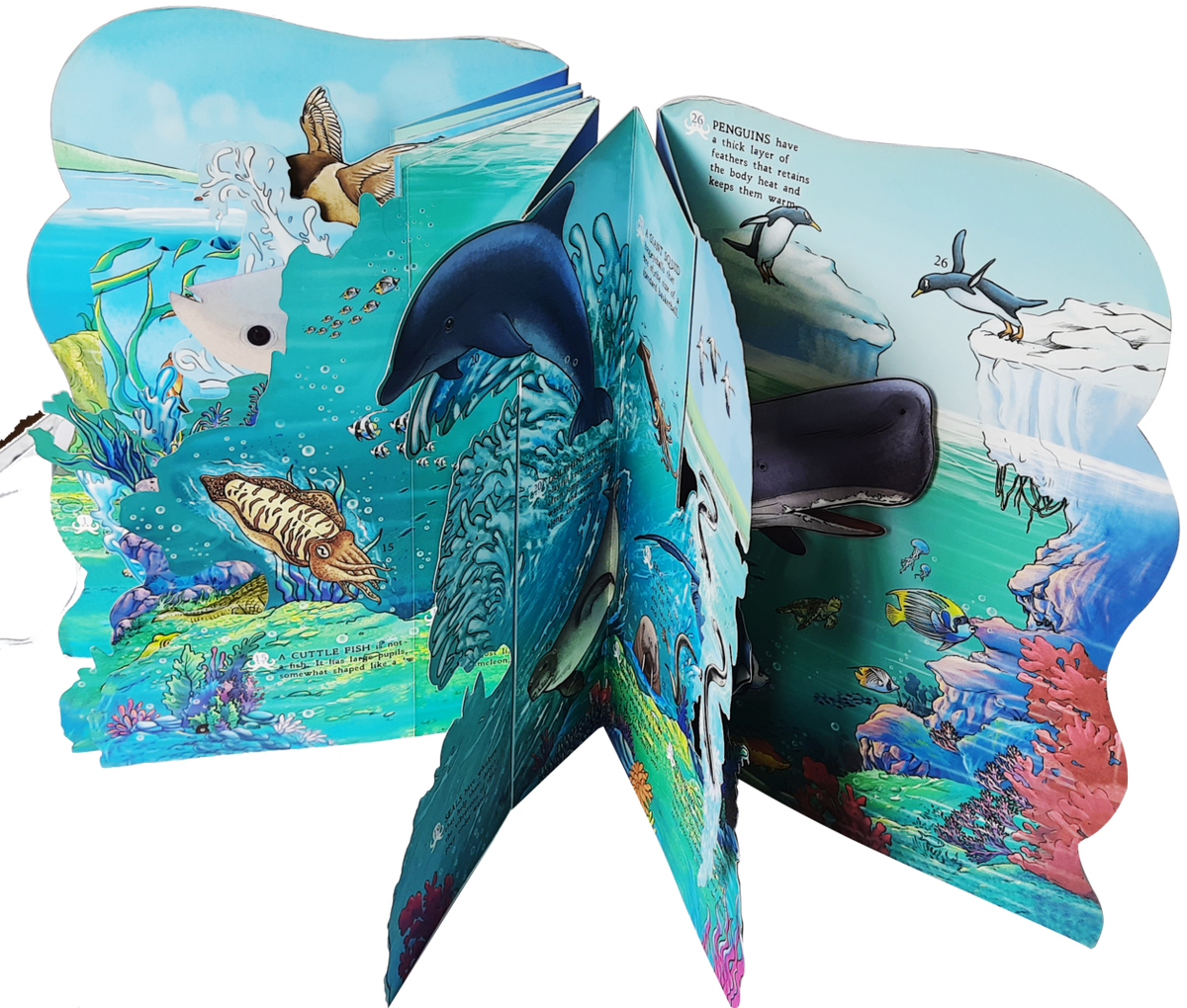 The World Of Water Animals Fresh Water And Marine – mumma.com